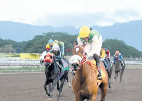 Luksol can use class to outfinish closers - PressReader