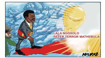 Imbali ngamaBhele akwaTetyan­a eDutywa - PressReader