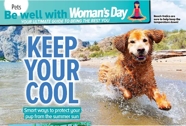 KEEP YOUR COOL EDITOR’S PICK - PressReader