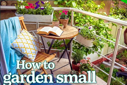 Maximise a small garden - PressReader