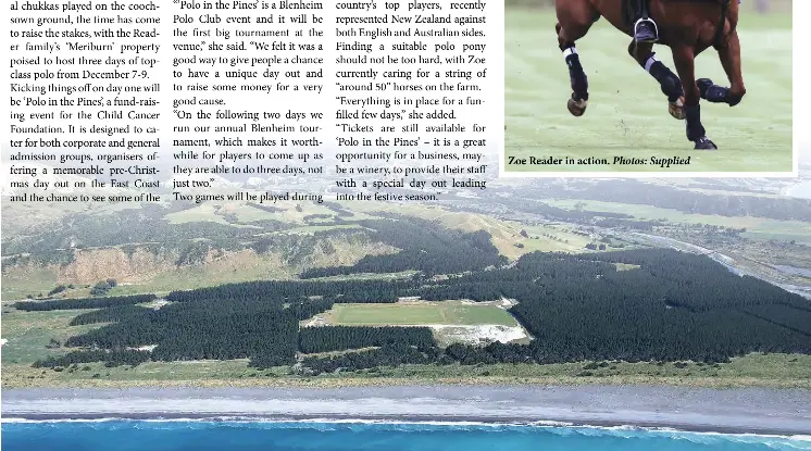 East Coast polo park prepared for opening chukkas - PressReader