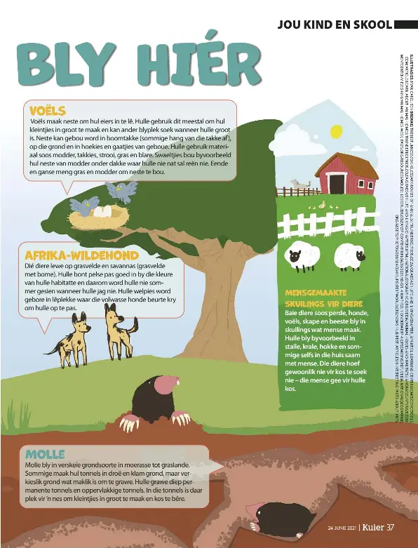 Jou kind en skool: Diere se habitatte en skuilings - PressReader