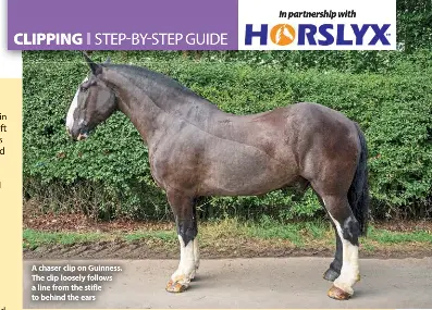 Chaser/irish - PressReader