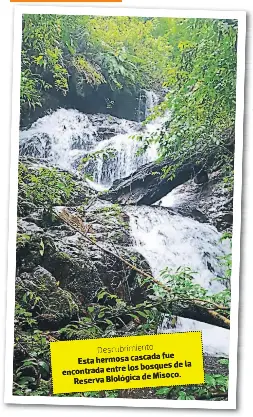 Guaimaca... el Hogar de las reservas sin explorar - PressReader