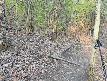 Run could have been disastrous - PressReader