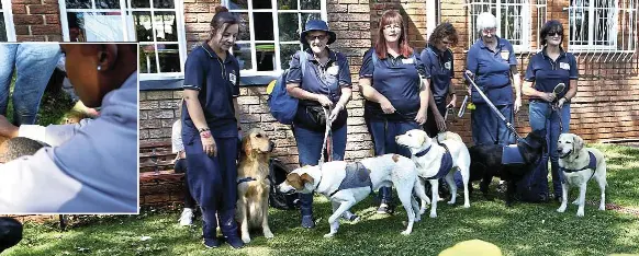 FOR THESE DOGS IT ’ S HEAL , NOT HEEL - PressReader