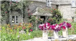 Best late summer blooms - PressReader