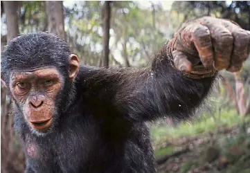 Kingdom of the Planet of the Apes (12A) - PressReader