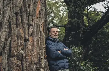 Council’s oversight of forestry exit ‘overdue’, councillor­s say ...