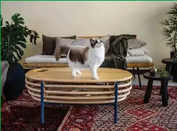 Hide & Seek - PressReader