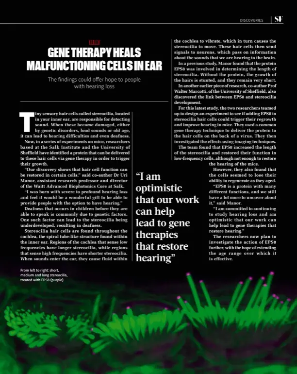GENE THERAPY HEALS MALFUNCTIO­NING CELLS IN EAR - PressReader