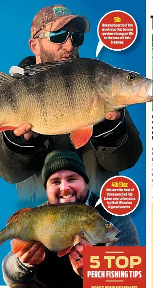 Giant perch! - PressReader