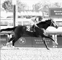 West Omaha tries two turns in competitiv­e Trapeze Stakes - PressReader