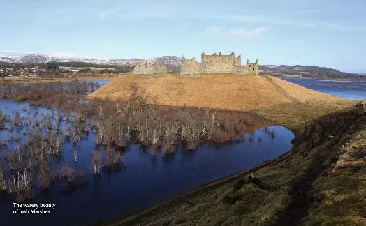 Back To Nature - PressReader