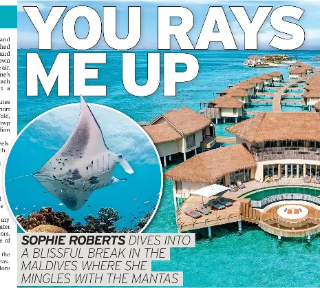 YOU RAYS ME UP - PressReader