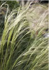 Different angles - PressReader