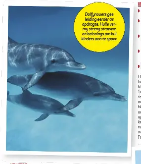 DIE DOLFYN - PressReader