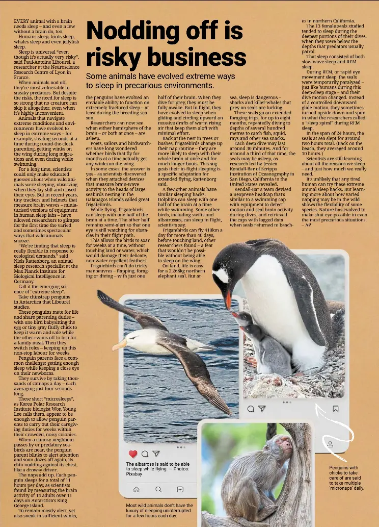 Nodding off is risky business - PressReader