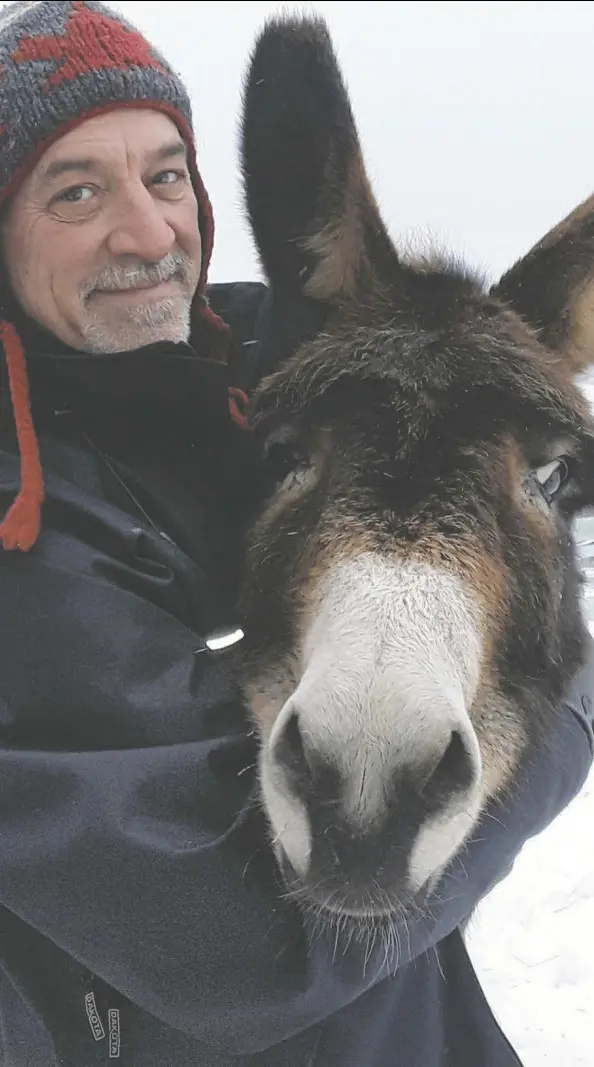 ’It’s preventabl­e’: Beloved Tatamagouc­he donkey dies due to fireworks ...