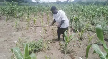 Which southern African countries are battling drought disasters - PressReader