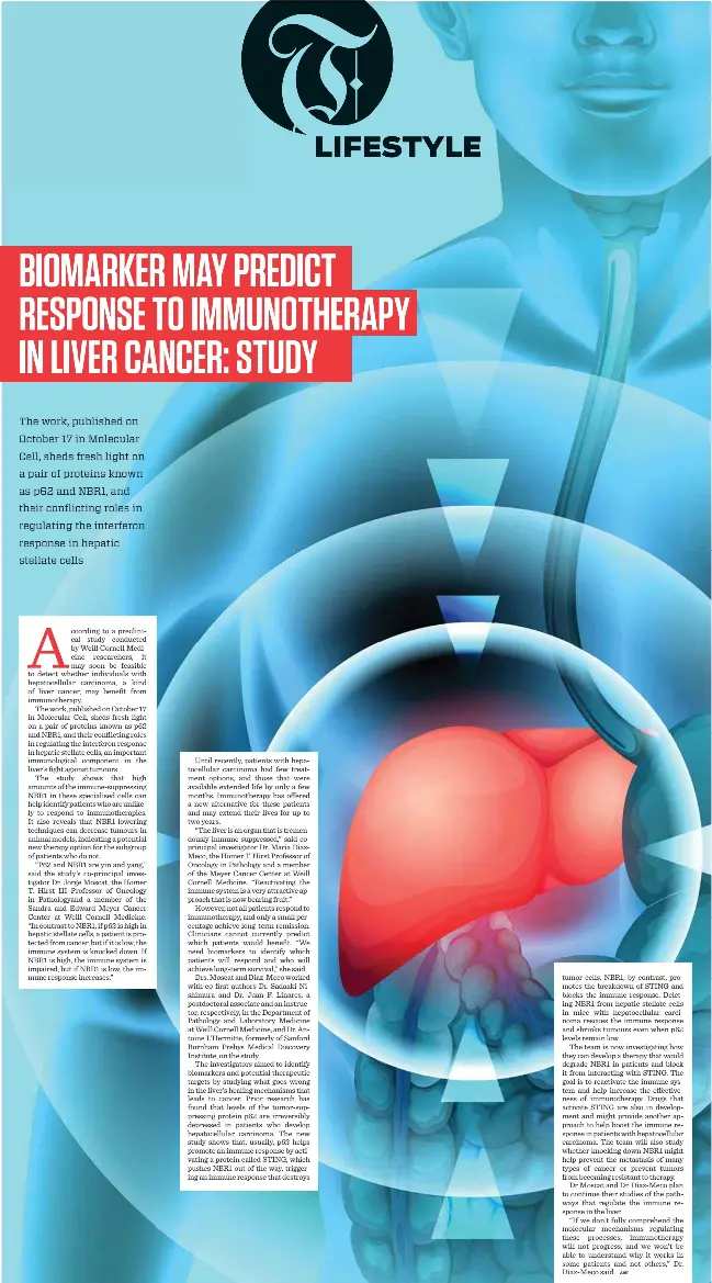 BIOMARKER MAY PREDICT RESPONSE TO IMMUNOTHER­APY IN LIVER CANCER: STUDY - PressReader
