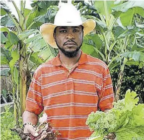 Bahamas farmer targets reducing dependence on food imports - PressReader
