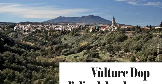 Vùlture Dop l’olio del vulcano - PressReader