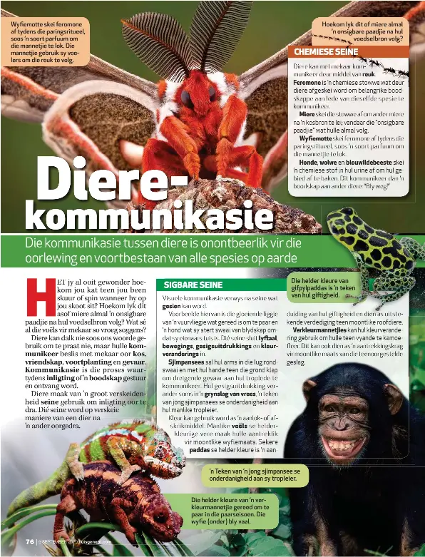 So kommunikee­r diere - PressReader