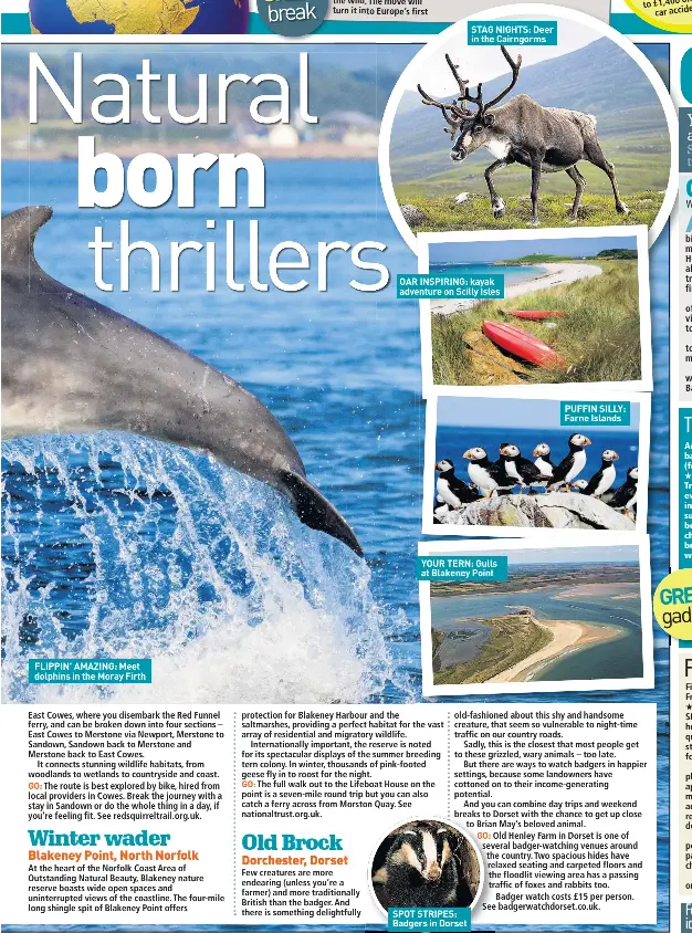 Kinder monkey business - PressReader