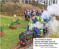 Full steam ahead for miniature rally - PressReader