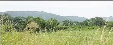 Sidvokodvo farm for sale - PressReader