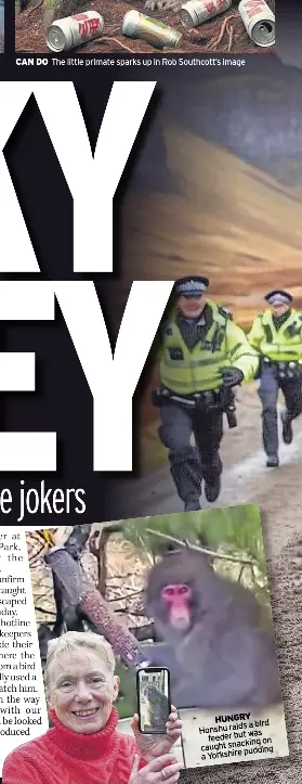 CHEEKY MONKEY - PressReader