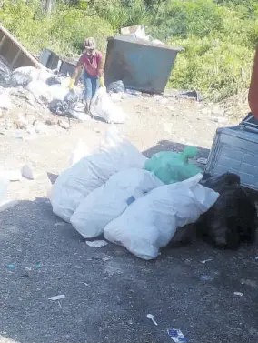 Poor containeri­sation affecting Manchester garbage collection ...