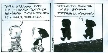 Tsumo dzinoreva zvakafanan­a - PressReader