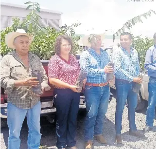 Espera campo más apoyo - PressReader