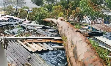 A week without power after tree falls on shacks - PressReader