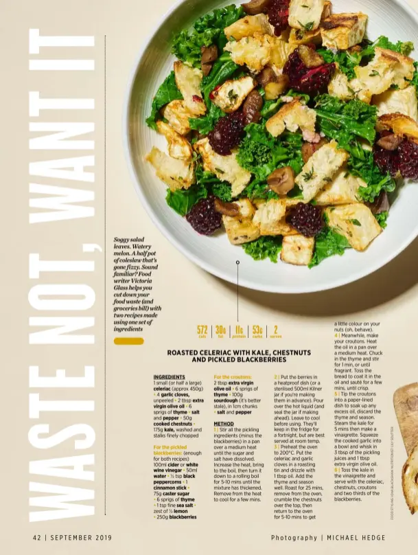 WASTE NOT, WANT IT - PressReader