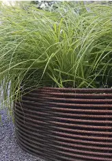 Different angles - PressReader