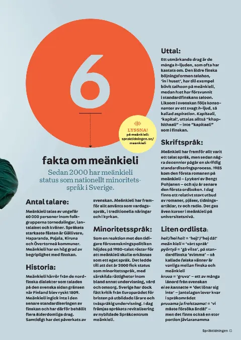6 fakta om meänkieli - PressReader
