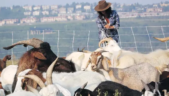 Doing things differentl­y - PressReader