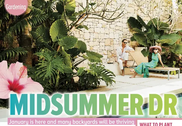 MIDSUMMER DREAM - PressReader